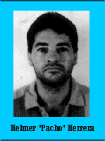 DEA - Publications - DEA Highlights 1995